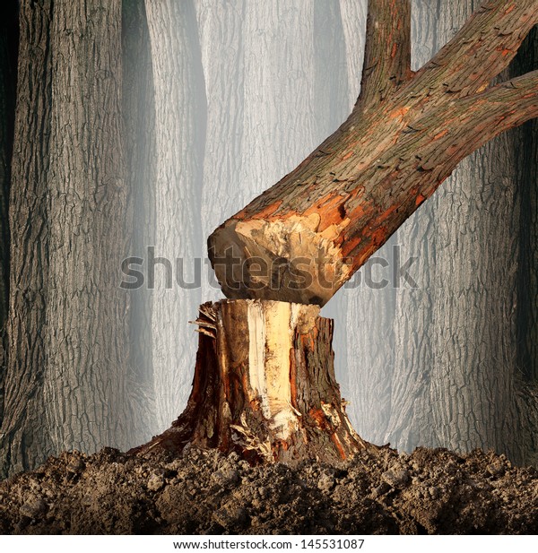 Deforestation Concept When Tree Falls Forest 库存插图 145531087