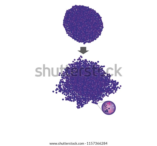 Degranulation Inflammatory Process Mast Cells Antigen Stock ...