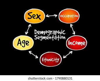 Demographic Segmentation Mind Map Flowchart Social Stock Illustration ...