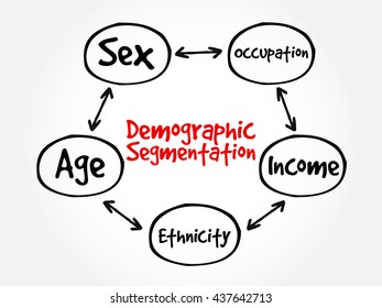 Demographic Segmentation Mind Map Flowchart Social 库存插图 437642713 ...