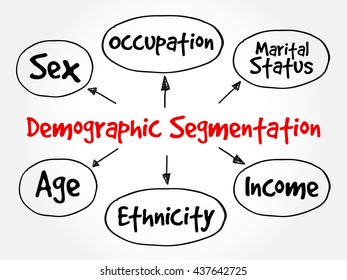Demographic Segmentation Mind Map Flowchart Social Stock Illustration ...