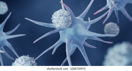 Dendritic Cell Activating Tcell 3d Illustration Stock Illustration ...