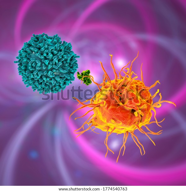 Dendritic Cell Presenting Antigen Tcell 3d Stock Illustration 1774540763