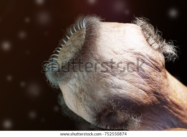 Detailed tapeworm under the microscope-- 3d rendering