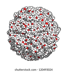 Diethylether Et2o Ether Ethoxyethane Molecular Model Stock Illustration ...