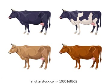 Different Cows Colors Set Stock Illustration 1080168632 | Shutterstock
