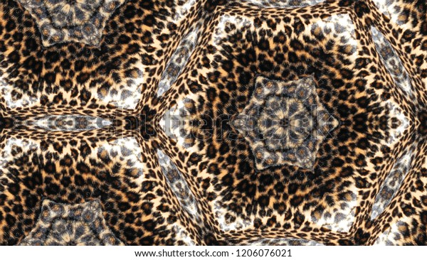 Different Shaped Leopard Background Images Stock Illustration 1206076021