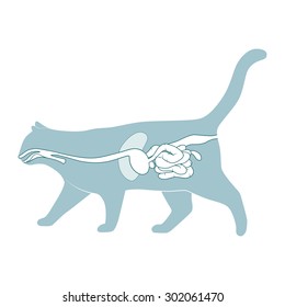 74 Cat large intestine Images, Stock Photos & Vectors | Shutterstock