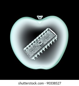 43 Xray Microchip Images, Stock Photos & Vectors | Shutterstock