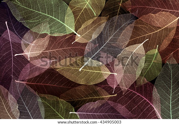 Digital Art Textures Composition Abstract Colorful: Stockillustration ...
