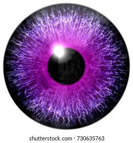 Digital Eye Stock Illustration 730635763 | Shutterstock