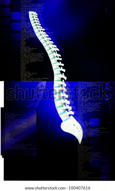 Digital Illustration Back Bone Colour Background Stock Illustration ...