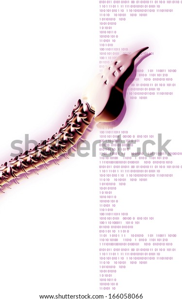Digital Illustration Back Bone Colour Background Stock Illustration ...
