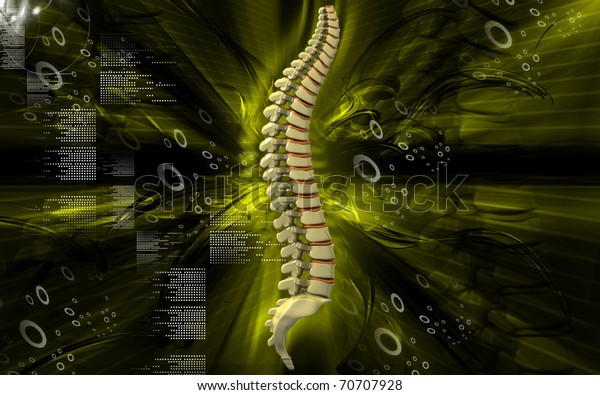 Digital Illustration Back Bone Colour Background Stock Illustration ...