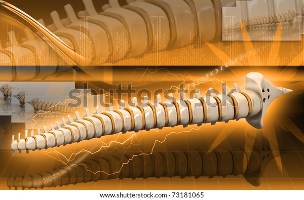 Digital Illustration Back Bone Colour Background Stock Illustration ...