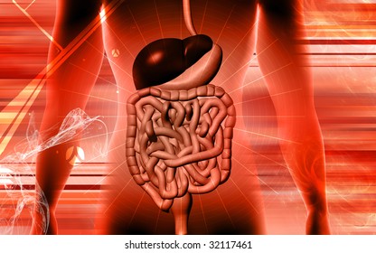 70 Hepatic flexure Images, Stock Photos & Vectors | Shutterstock