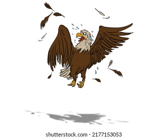 265 Scared Eagle Images, Stock Photos & Vectors | Shutterstock