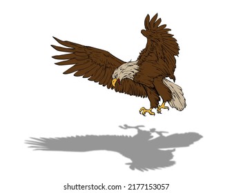 265 Scared Eagle Images, Stock Photos & Vectors | Shutterstock