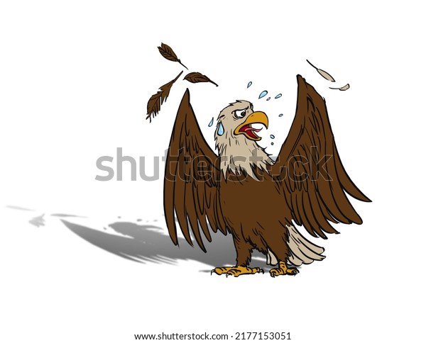 265 Scared Eagle Images, Stock Photos & Vectors | Shutterstock