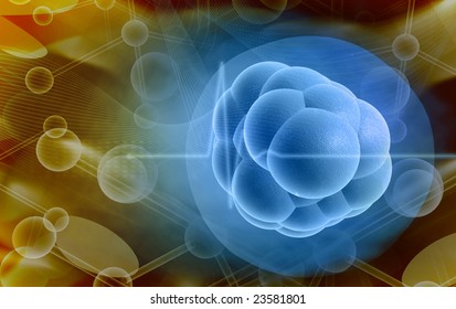 262 Precursor cell Images, Stock Photos & Vectors | Shutterstock