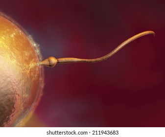 1,104 imágenes de Human copulation - Imágenes, fotos y vectores de ...