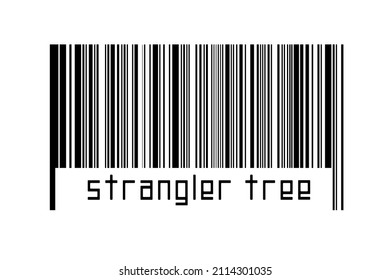 611 Tree barcode Images, Stock Photos & Vectors | Shutterstock