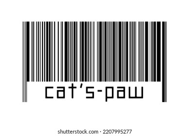 Digitalization Concept Barcode Black Horizontal Lines Stock ...