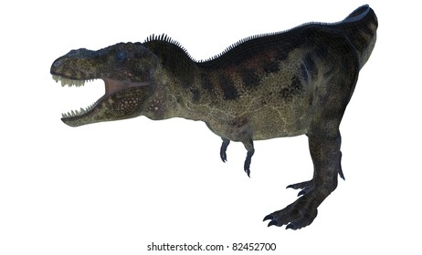 Carcharodontosaurus 3d Render On Isolated White: ilustración de stock ...