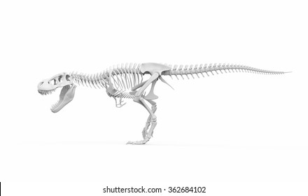 Dinosaur Skeleton Side View 3d Vector: เวกเตอร์สต็อก (ปลอดค่าลิขสิทธิ์ ...