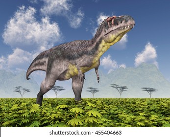 Tyrannotitan: ภาพ ภาพสต็อกและเวกเตอร์ | Shutterstock