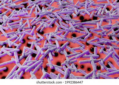 Diseasecausing Bacteria Under Microscope Tuberculosis Bacteria Stock ...