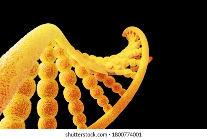 8,143 Dna yellow Images, Stock Photos & Vectors | Shutterstock