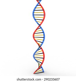 3d Model Dna Structure Biological Macromolecules Stock Illustration ...