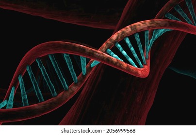 Dna Structure Human Body Microscope View Stock Illustration 2056999568 ...