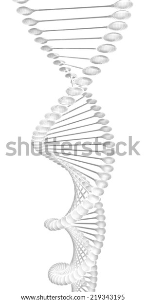 Dna Structure Model On White Background Stock Illustration 219343195