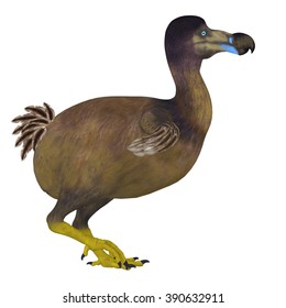 Dodo Bird Side Profile Dodo Extinct Stock Illustration 390632911 ...