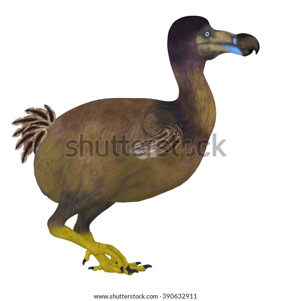 Dodo Bird Side Profile Dodo Extinct Stock Illustration 390632911 ...