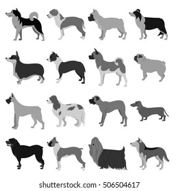 Dogs Flat Set: Stockillustration 506504617 | Shutterstock