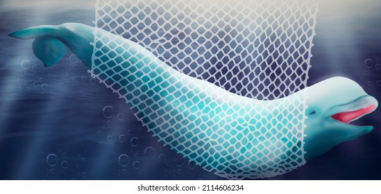 513 Dolphin Net Images, Stock Photos & Vectors | Shutterstock