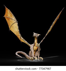 9,188 Front dragon Images, Stock Photos & Vectors | Shutterstock