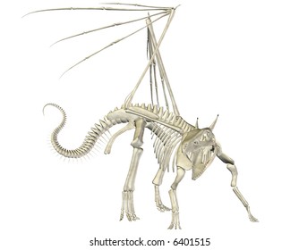 Dragon Skeleton Stock Illustration 6401515 | Shutterstock