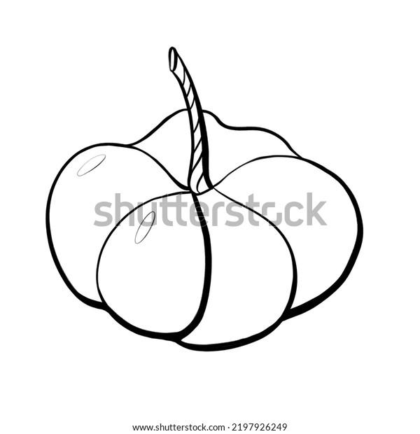Draw Simple Element Design Graphic Contour Stock Illustration ...