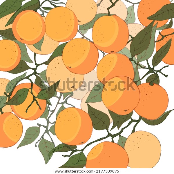 Drawing Branches Blight Orange Tree White Stock Illustration 2197309895 ...