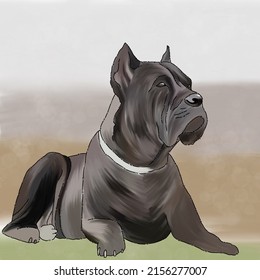 Drawing Cane Corso Breed Stock Illustration 2156277007 | Shutterstock
