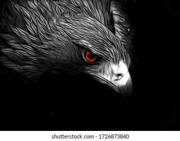 Drawing Evil Eagle Stock Illustration 1726873840 | Shutterstock