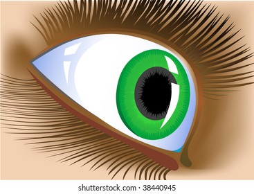 Drawing Human Eye Closeup Stock Illustration 38440945 | Shutterstock