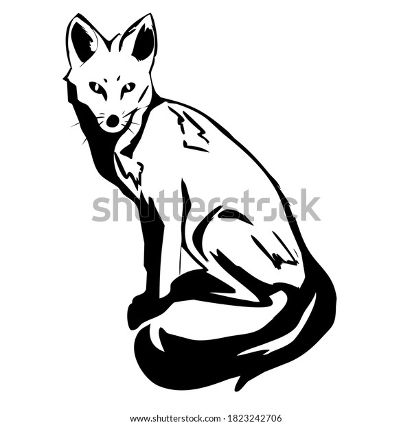 Drawing Side Profile Fox Looking Front Stock Illustration 1823242706 ...