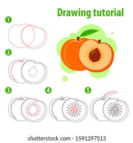 Drawing Tutorial Kids Peach Kids Step 스톡 일러스트 1591297513 | Shutterstock