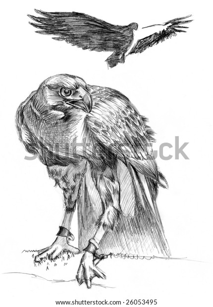 Drawing Two Eagles Pencil On Paper Stock Illustration 26053495 ...