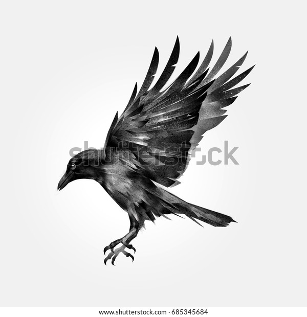 Drawn Attacking Isolated Bird Crow Stock Illustration 685345684